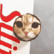 三面三面三 