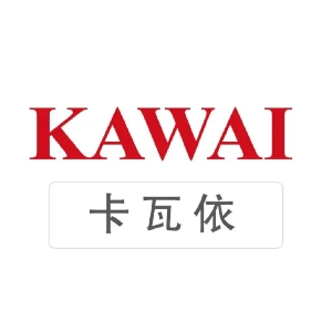 郑州卡瓦依钢琴 