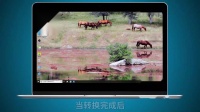 cad怎么转换成jpg高清大图