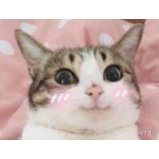 嘿你看到我了么 