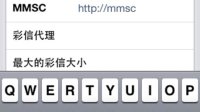 iPhone移动上网设置,蜂窝数据设置