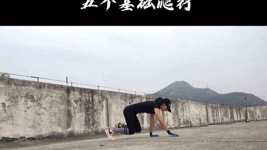今天分享五个爬行动作送给爱爬行的你。#健身 #爬行