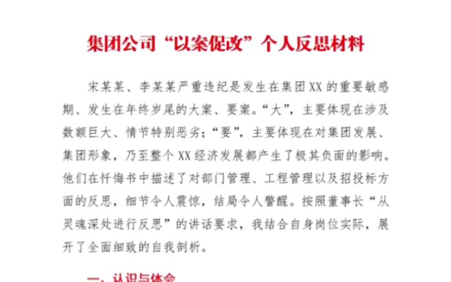公司个人反思材料写作素材模板,网友评价:敢较真、下手狠、挖得深、...