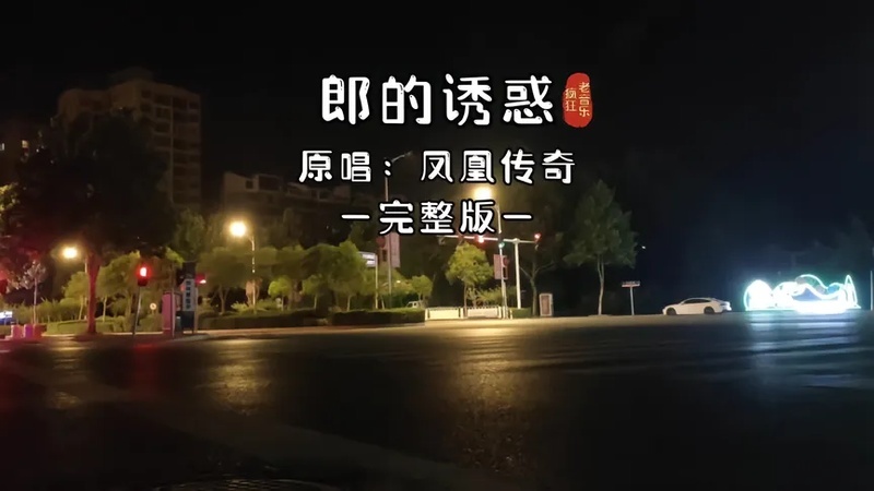 2009年流行歌曲,第11集,《郎的诱惑》凤凰传奇