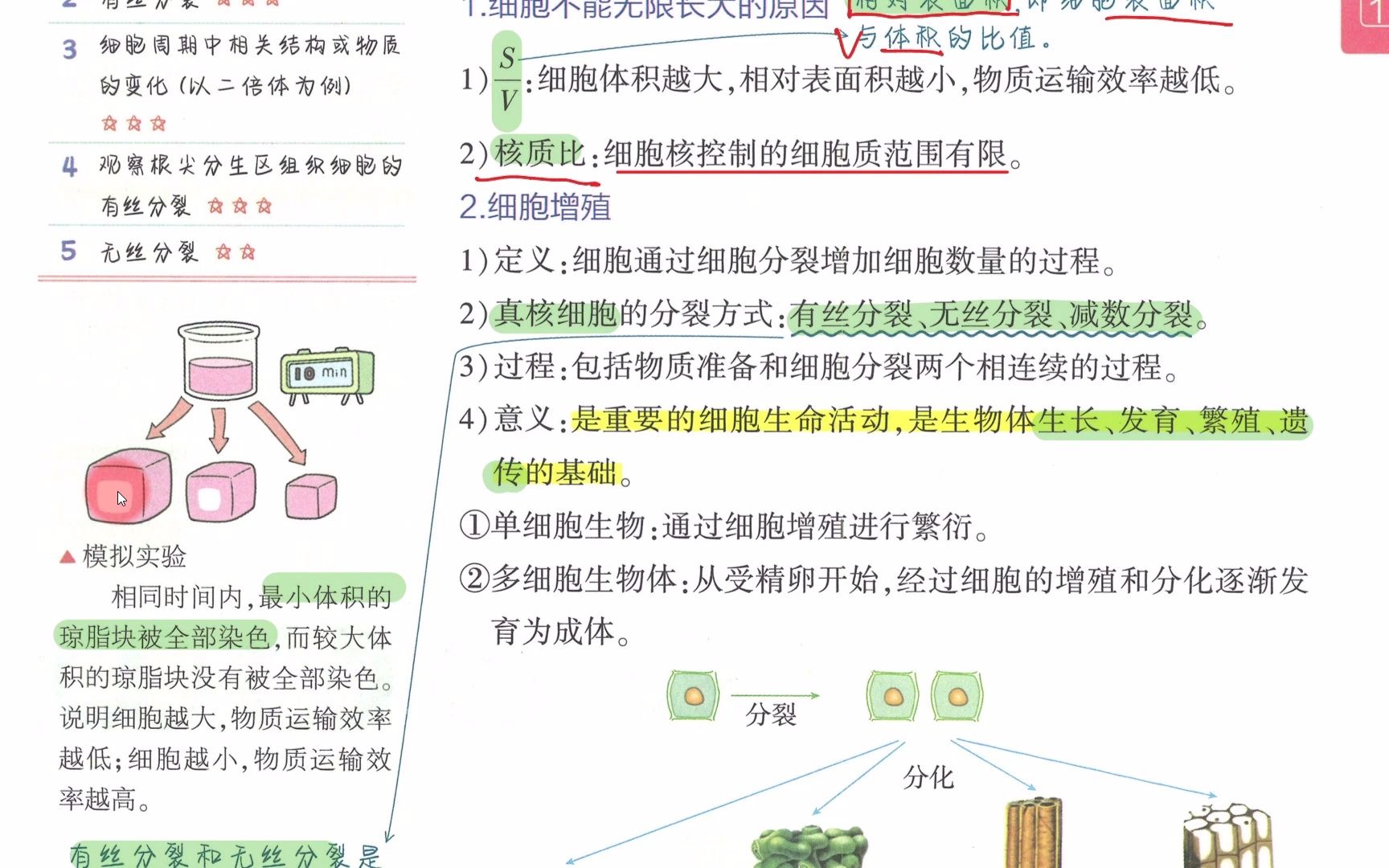 【2023生物必刷题】P44(概念课)---细胞增殖,有丝分裂,观察根尖分生区...