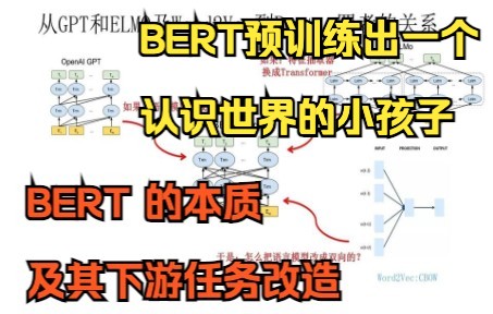 06 BERT 的本质,预训练出一个认识世界的小孩子,及下游任务改造