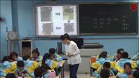 新体系 乌鲁木齐市第77小学 杨菲 观察《胖大海变形记》习作教学指导