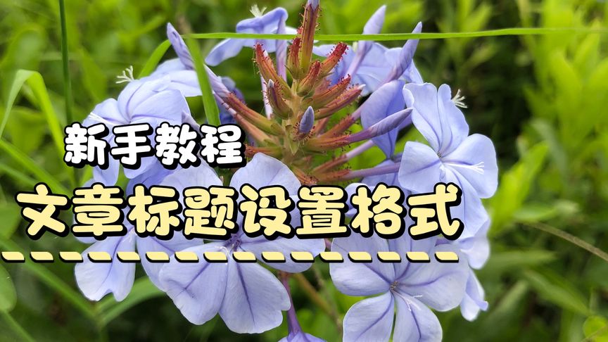 文章标题怎么设置格式?电脑版多标题让你增加收益