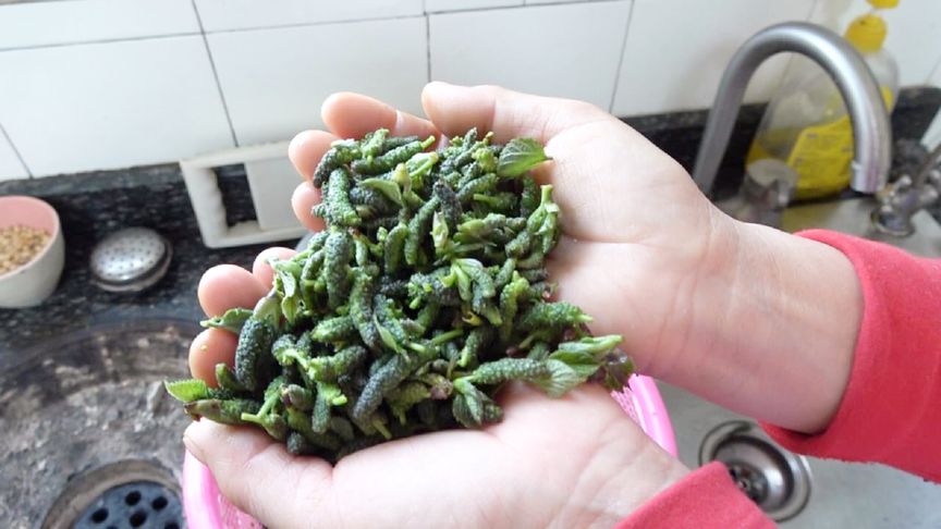 在农村才能吃到的“构树穗”蒸菜,一棵树就够家人吃一顿啦