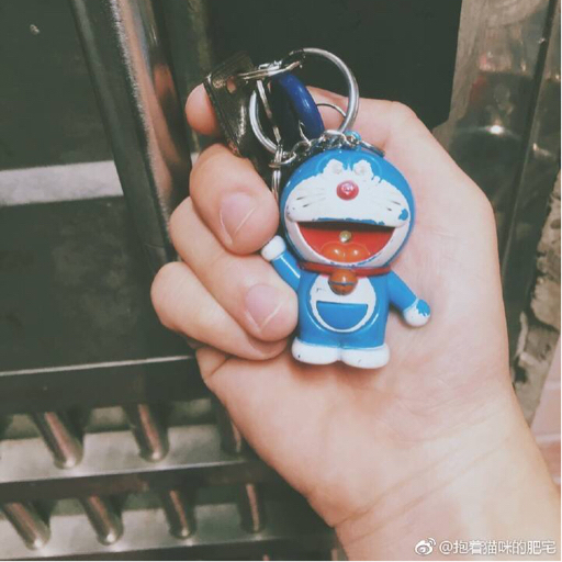 抱着猫咪的肥宅 