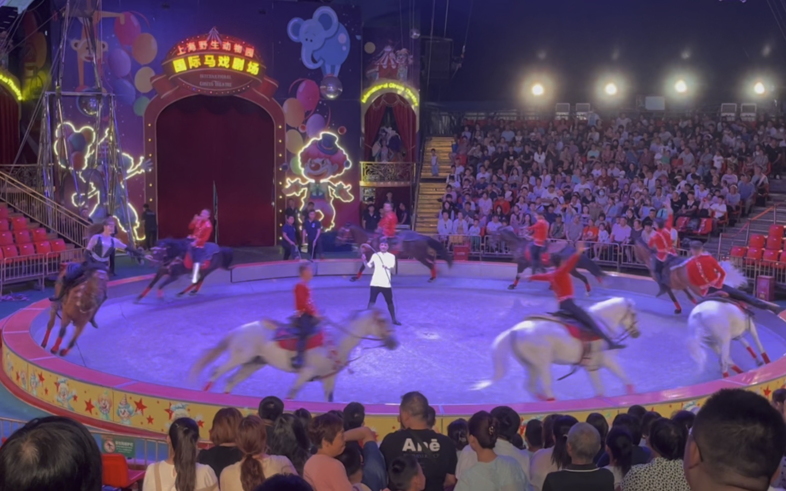 男人与马的故事,站在马背上的男人,女王骑马驾到,俄罗斯马戏团