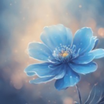 益智花园小镇