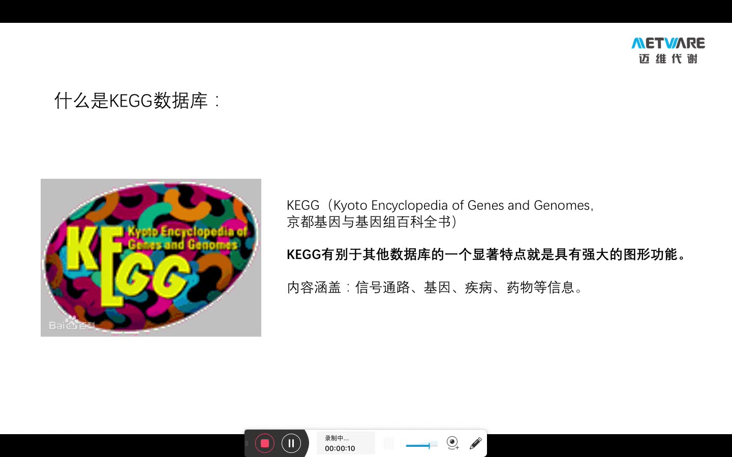 一分钟了解KEGG数据库(1)