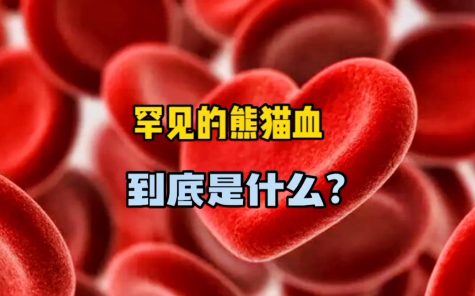 罕见的熊猫血是怎么回事儿?