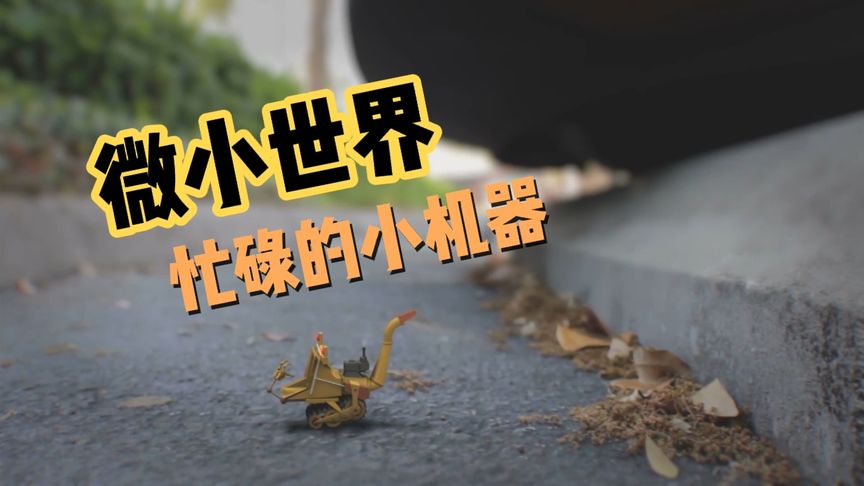 微小世界里,离不开他们忙碌的身影,动画《微小世界》