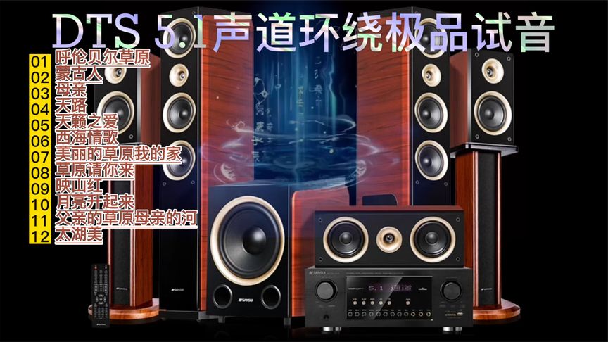 DTS格式 5.1环绕声道,天花板级别的音质