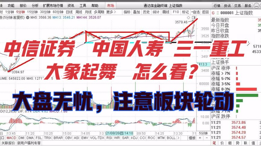 中信证券 中国人寿 三一重工 大象起舞大盘无忧,谁能继续起舞?