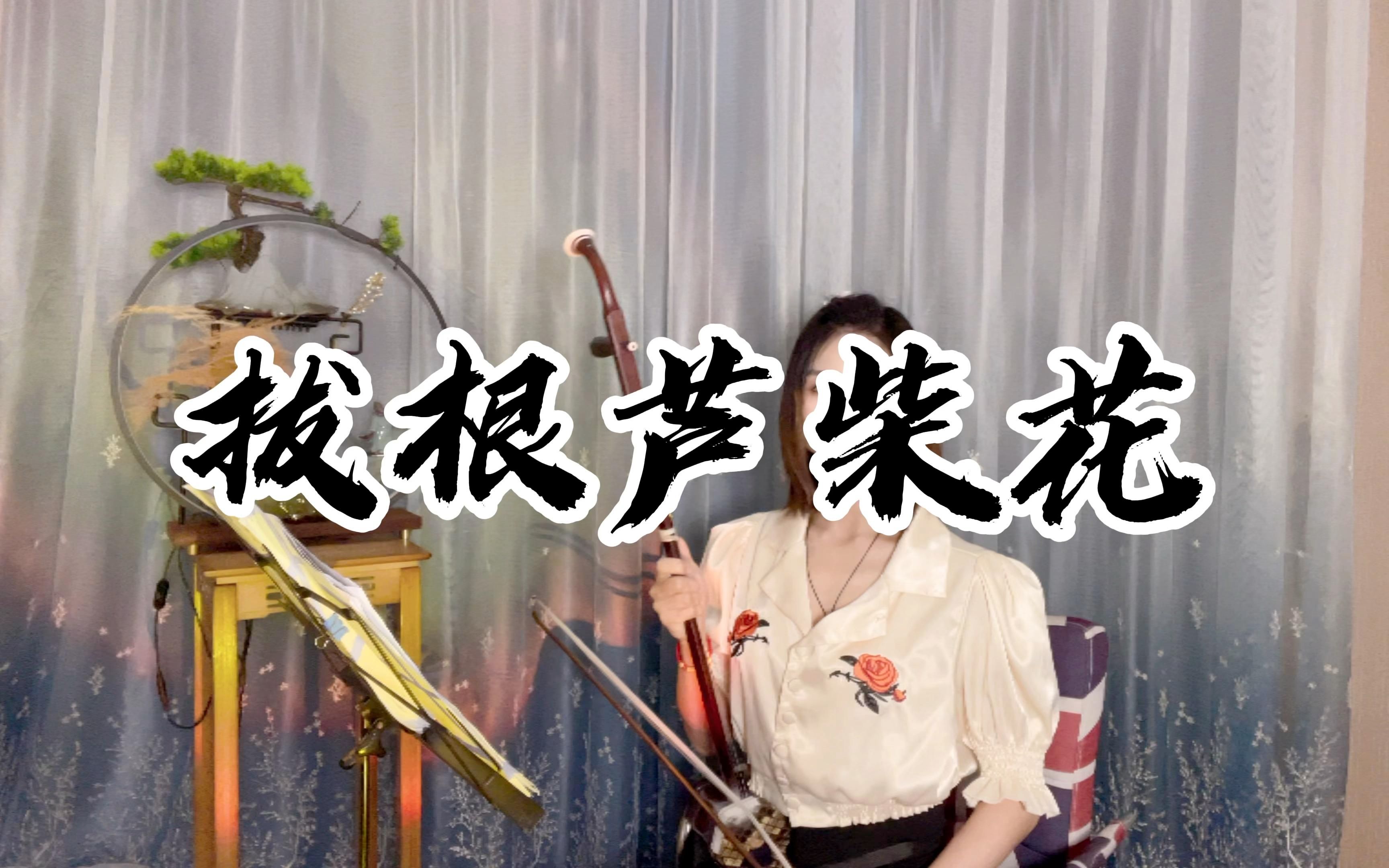 二胡妹乐乐一首(拔根芦柴花)送给大家