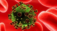 什么是HIV病毒