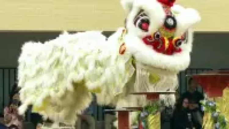 醒狮表演, 专业舞狮视频欣赏