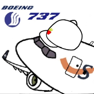 一架很矮的波音737 