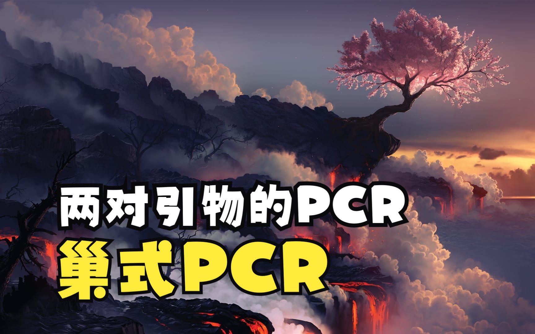 两对引物的PCR 巢式PCR的工作原理