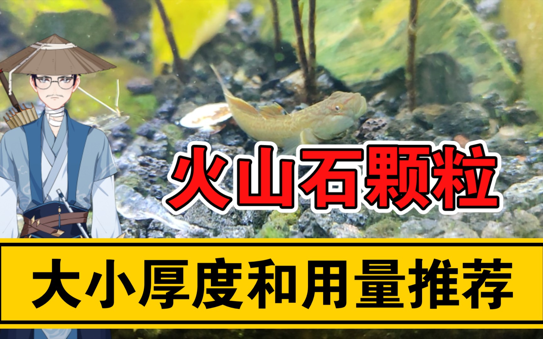 【龟缸】便宜又好用,鱼缸底砂用火山石颗粒好处多,火山石大小选择、...