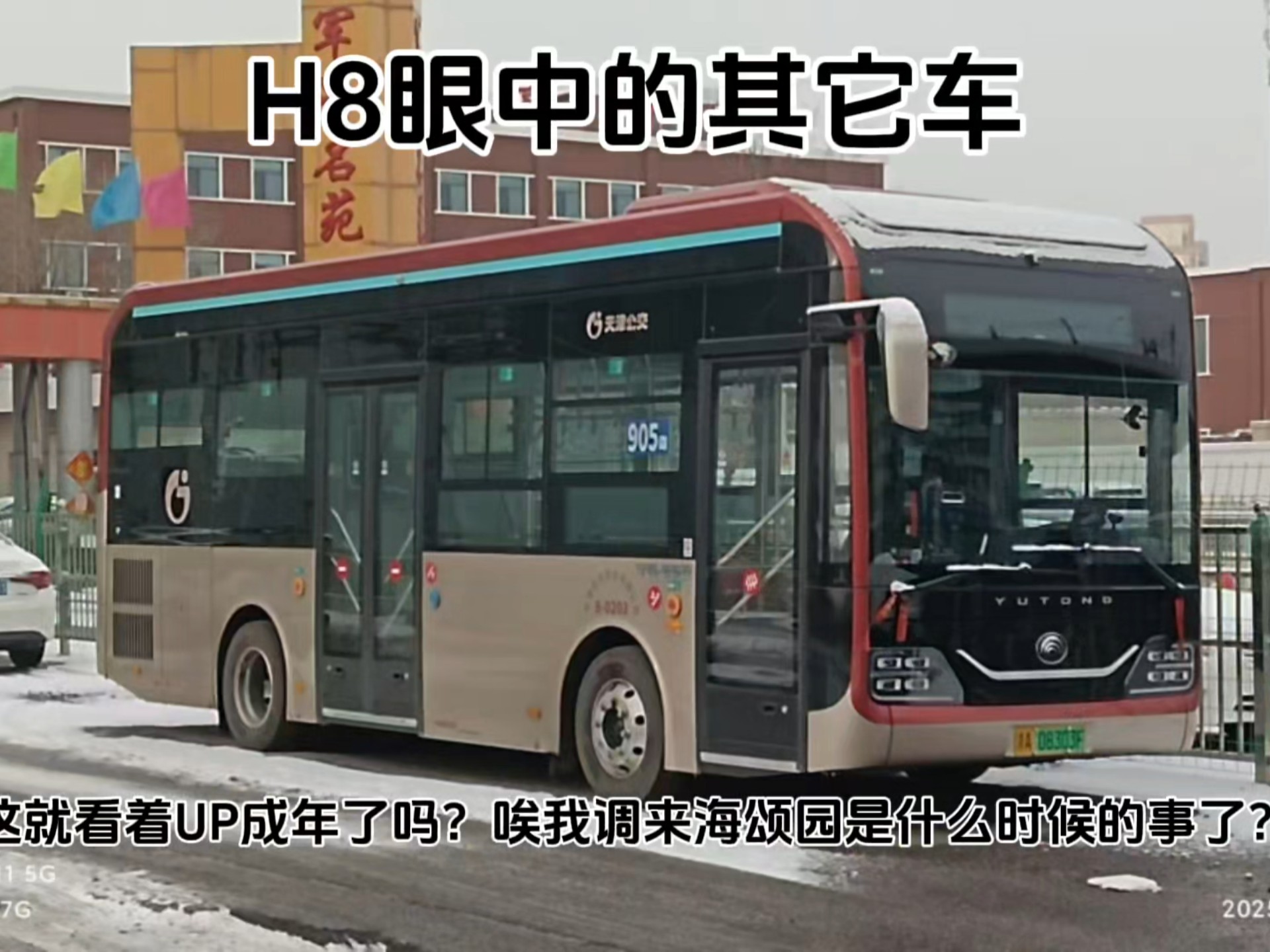 【天津公交】H8眼中的其它车〖UP主18岁生日特辑〗