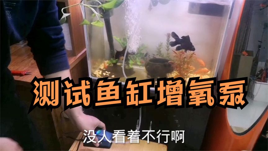 网上买的鱼缸增氧泵,测试过程中突然跑了,这质量真是不敢恭维