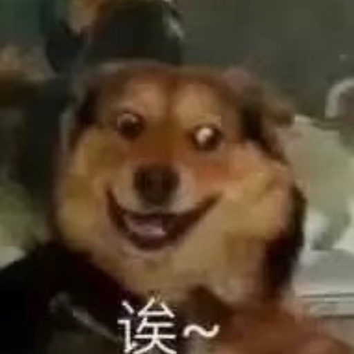 小蓝花- 