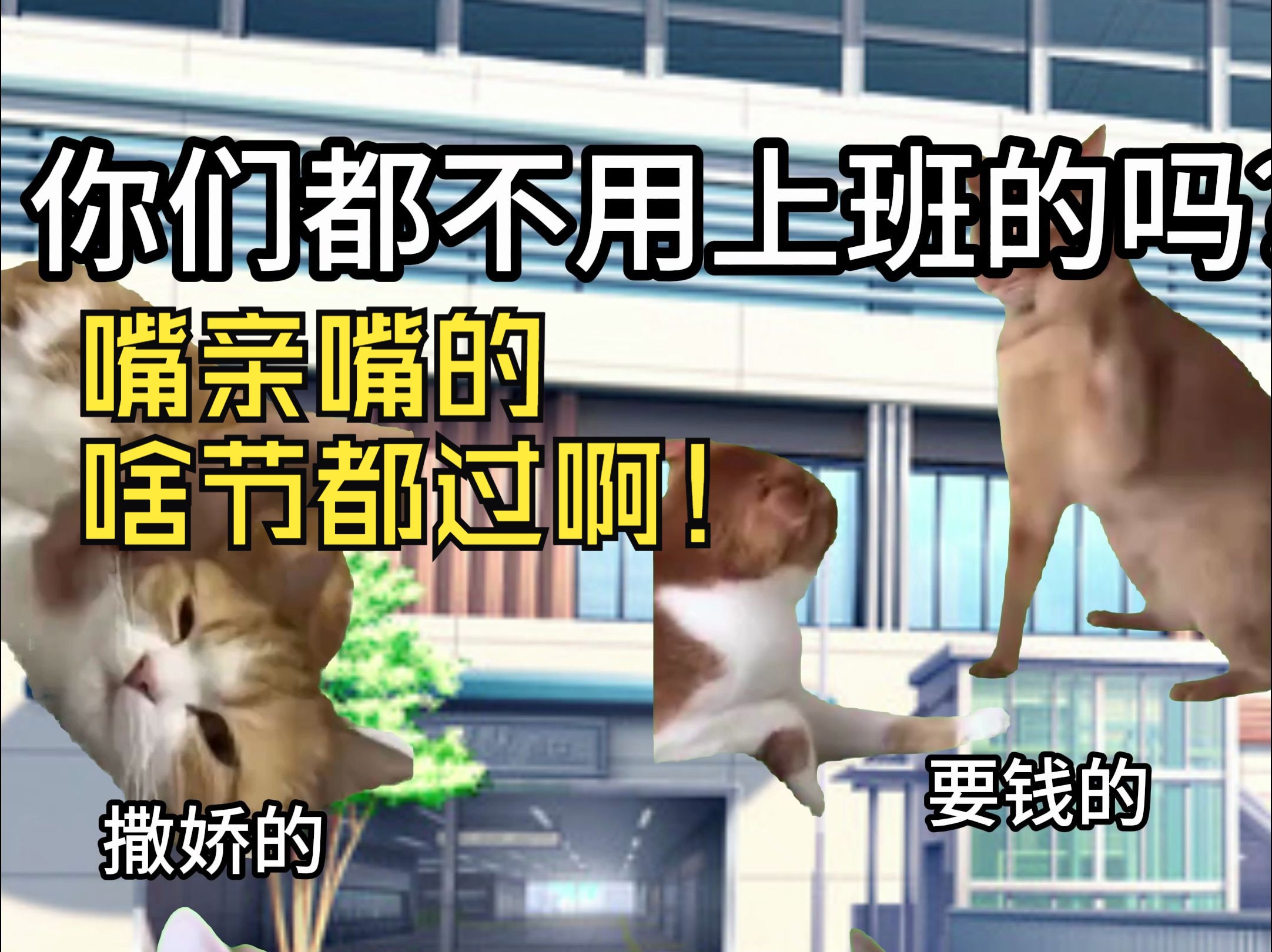 【猫meme动画】你们不用上班的吗?都嘴亲嘴的,啥节都过啊!