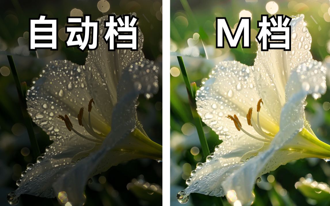 【摄影入门教程】拒绝死记硬背!一个视频教会你相机的M档如何使用!...