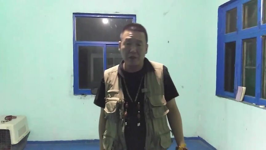 铲屎官的必修课-学会正确的给狗狗佩戴及使用牵引绳(原版)
