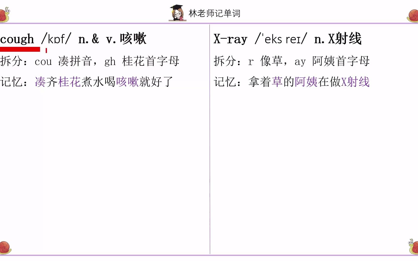 24个英语单词怎么读,初中常用英语单词cough、x-ray,英语背单词软件
