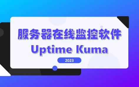 2023最新-轻巧高颜值的服务器监控软件