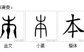 汉字的起源传说-微课