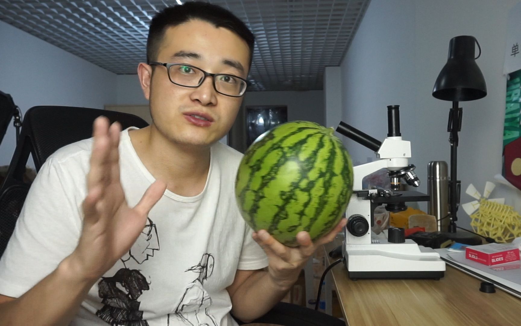 【显微镜】西瓜放大800倍,西瓜皮上有无数像大嘴一样的气孔,太震撼了