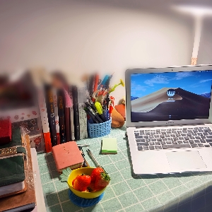 浅苏淡沫 