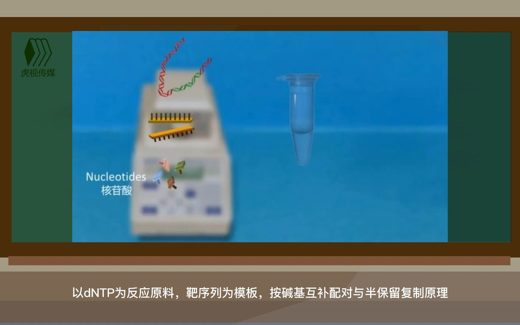 PCR技术基本原理与各步骤目的