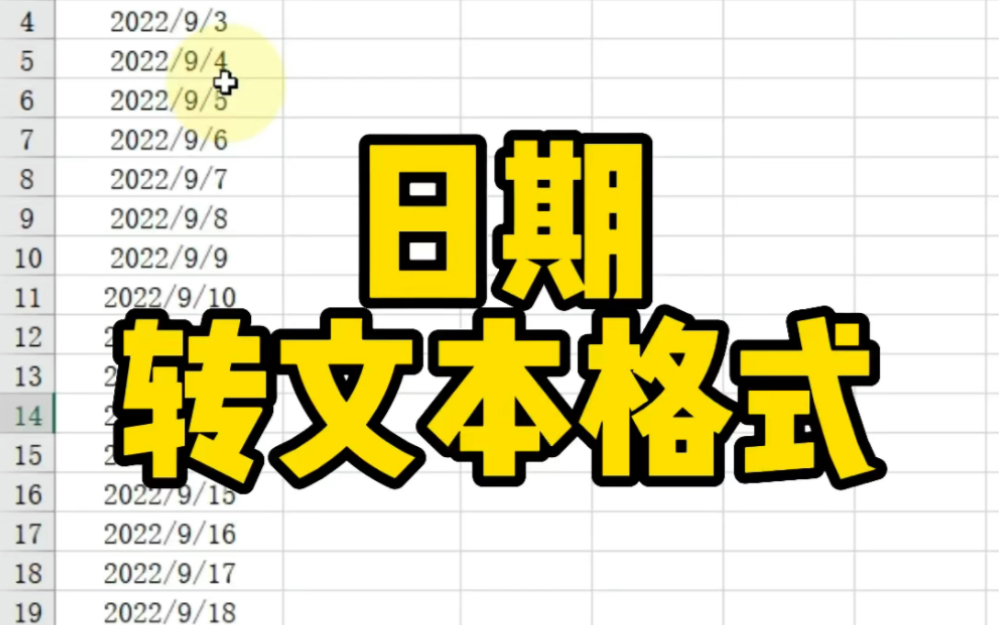 日期转文本格式