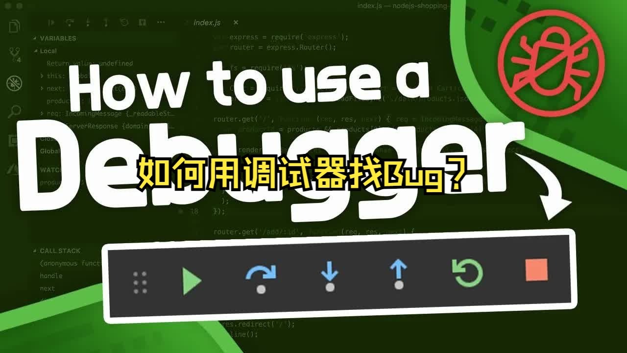 【双语视界】如何用调试器找Bug?全网最直观调试器使用教程(Python+...