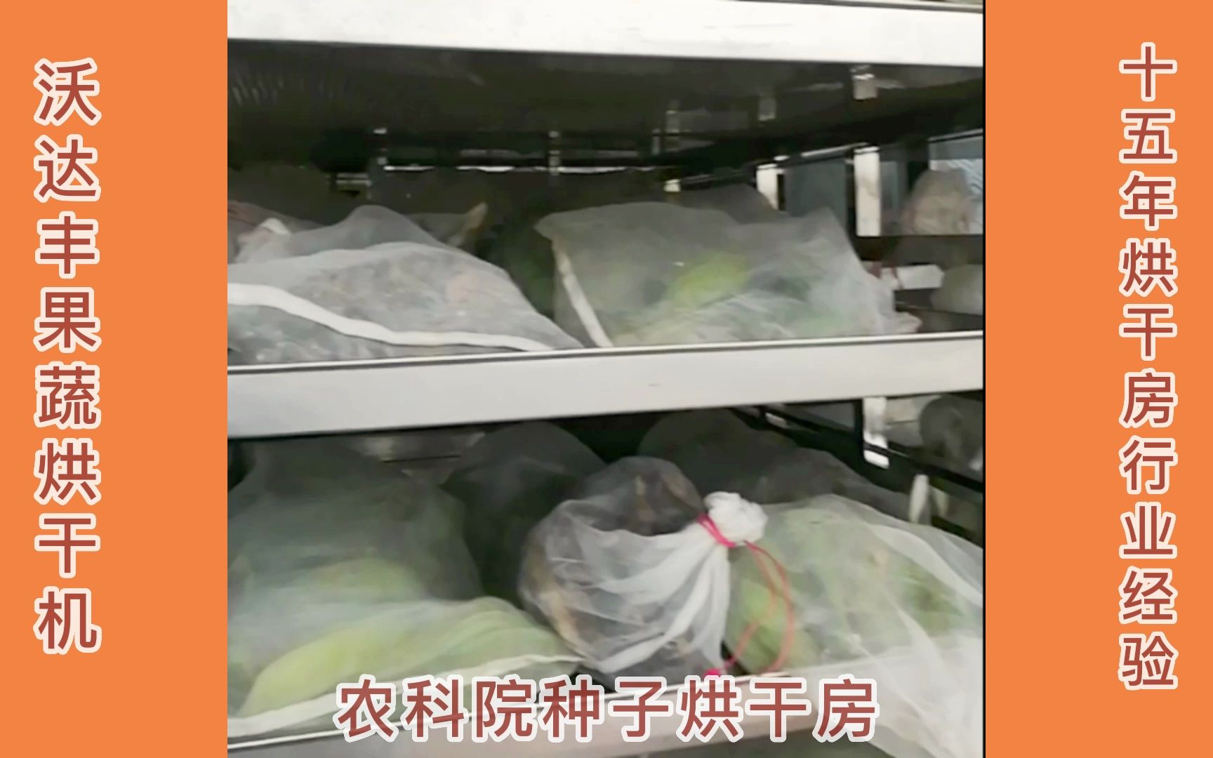 沃达丰果蔬烘干机系列--农科院定制的种子烘干机使用现场