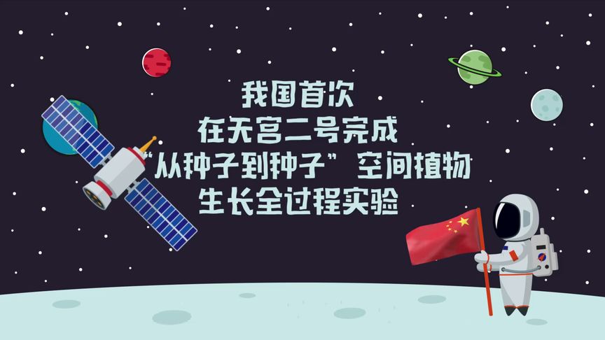 种在太空中的水稻长什么样?