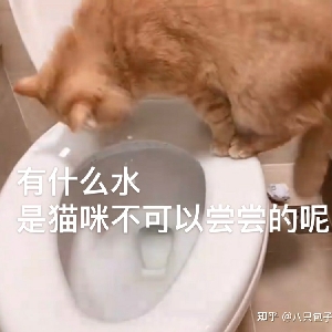 张汉语 
