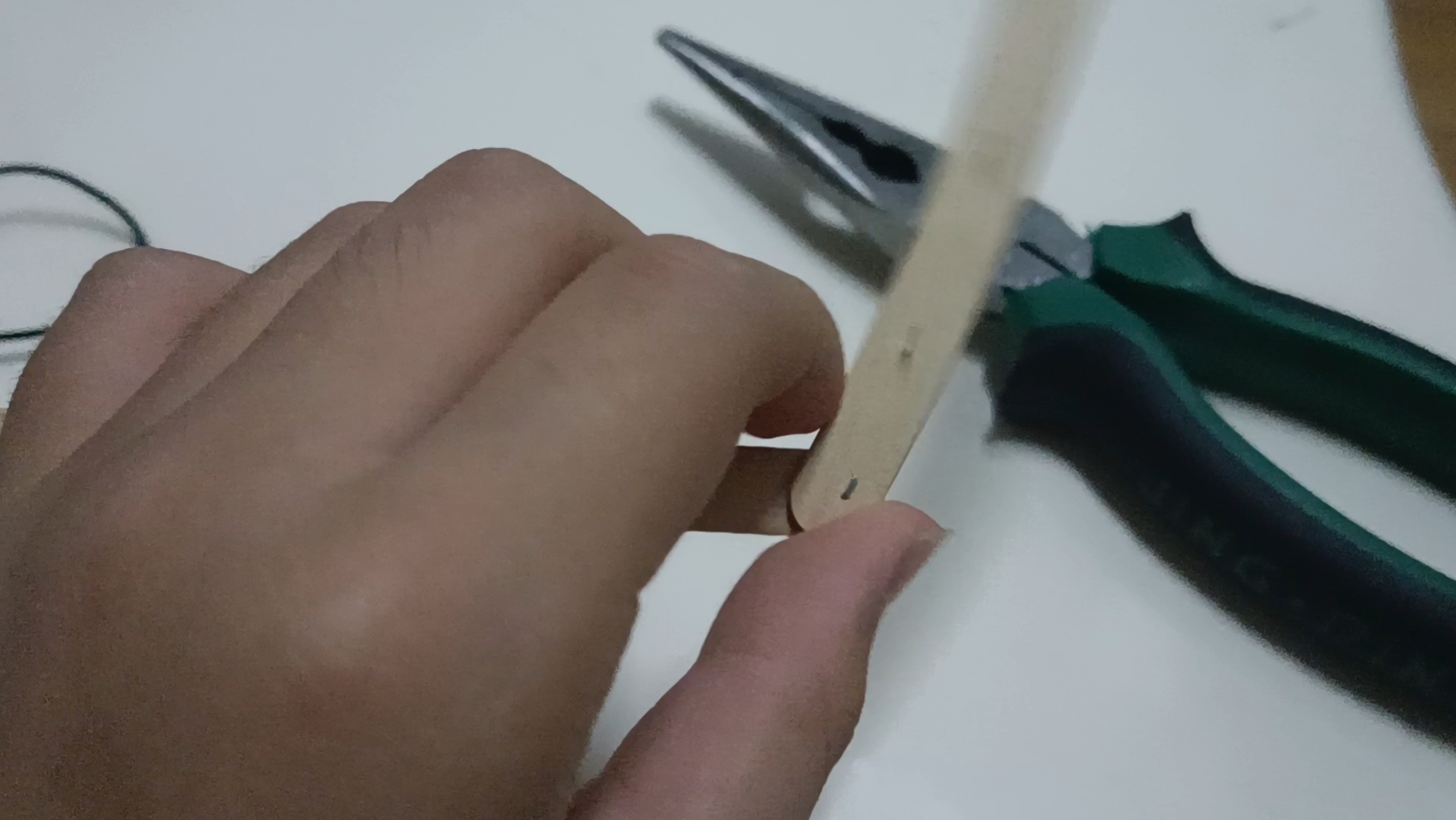 八年级上册生物,动物运动模型制作。