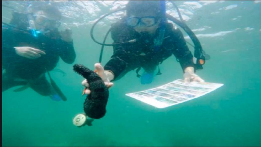 海洋科学专业介绍