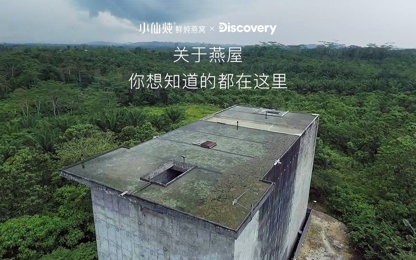 现代化燕屋:人与自然和谐共处的成果 | 小仙炖鲜炖燕窝