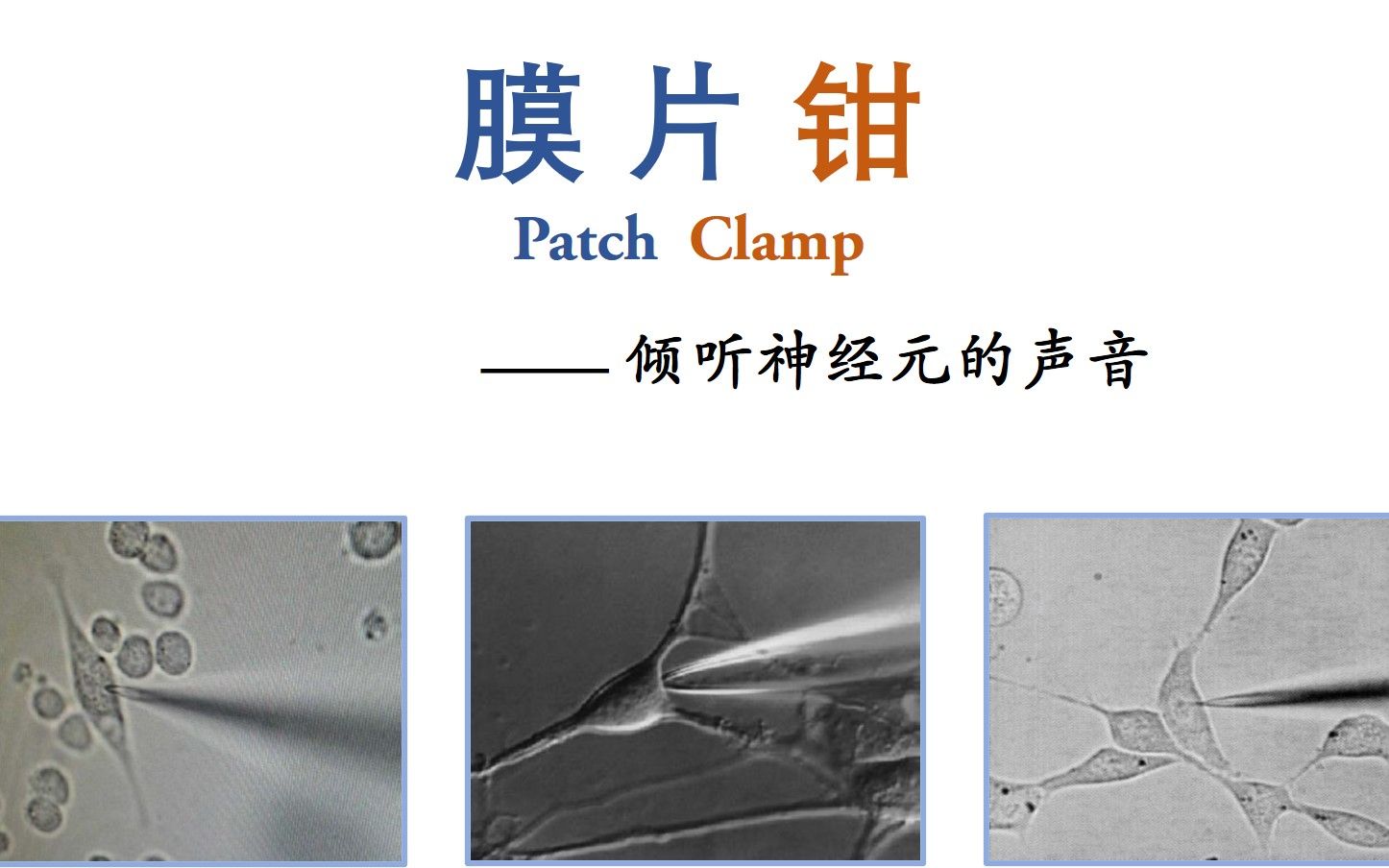 【膜片钳 1】膜片钳的基本概念及原理