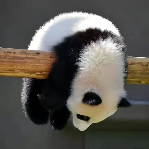云熙剪辑 