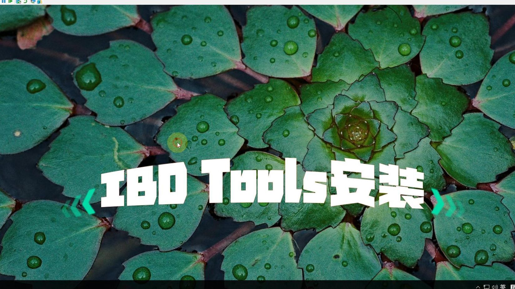 如何将IBD Tools安装在Word中使用